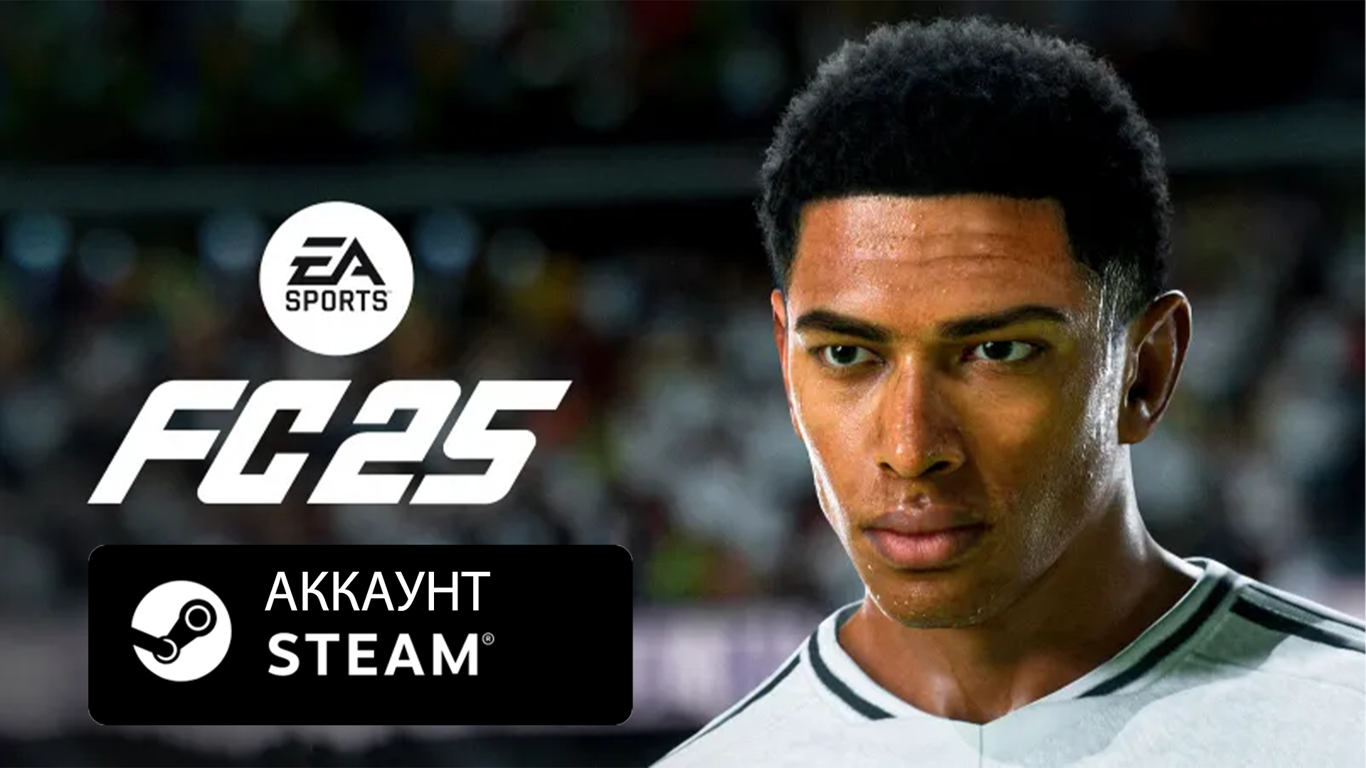 FC 25 - Личный Steam Аккаунт - FIFAMAN